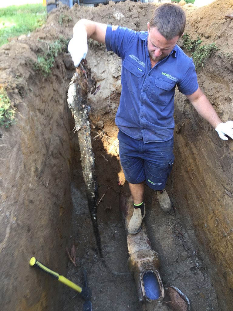 Gallery – Raiders Plumbing